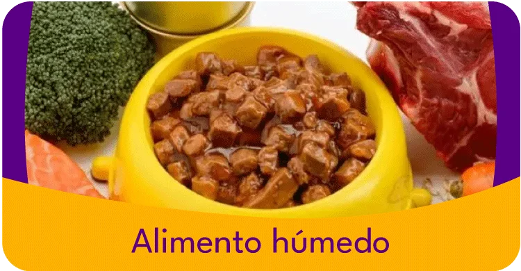 ETMAM – Alimentos para perros y gatos de marcas y alta calidad!